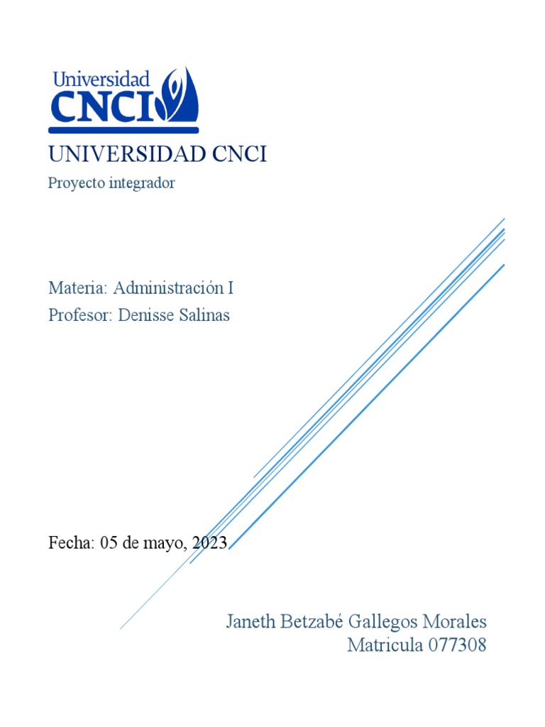 Proyecto Integrador | PDF