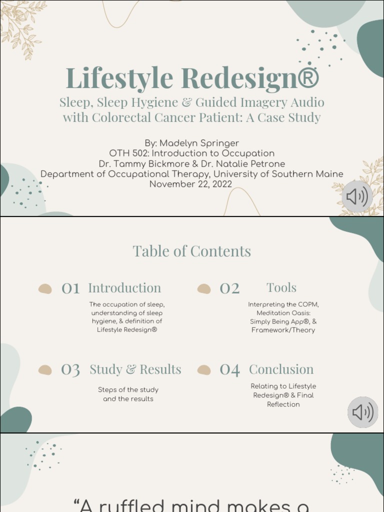 Lifestyle Redesign - Madelyn Springer | PDF | Occupational Therapy ...