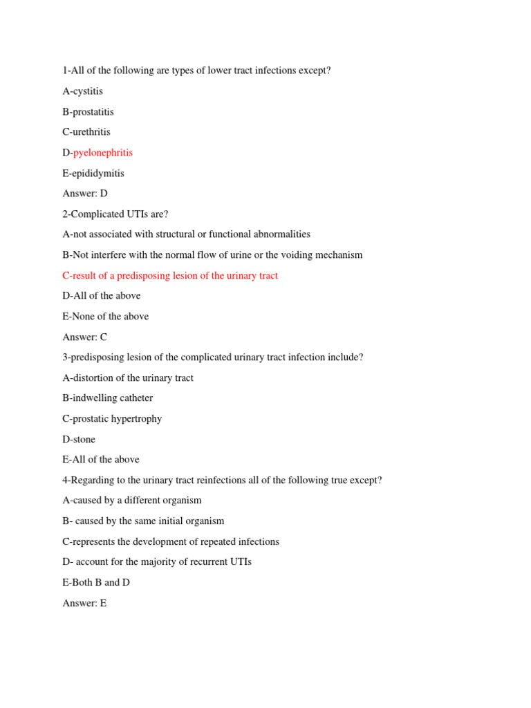 UTI MCQ | PDF | Urinary Tract Infection | Medical Specialties
