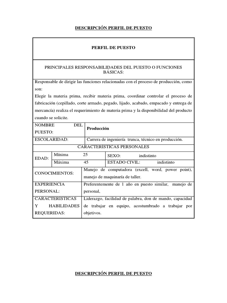 PERFIL de PUESTOS Ejemplo y Formato | PDF
