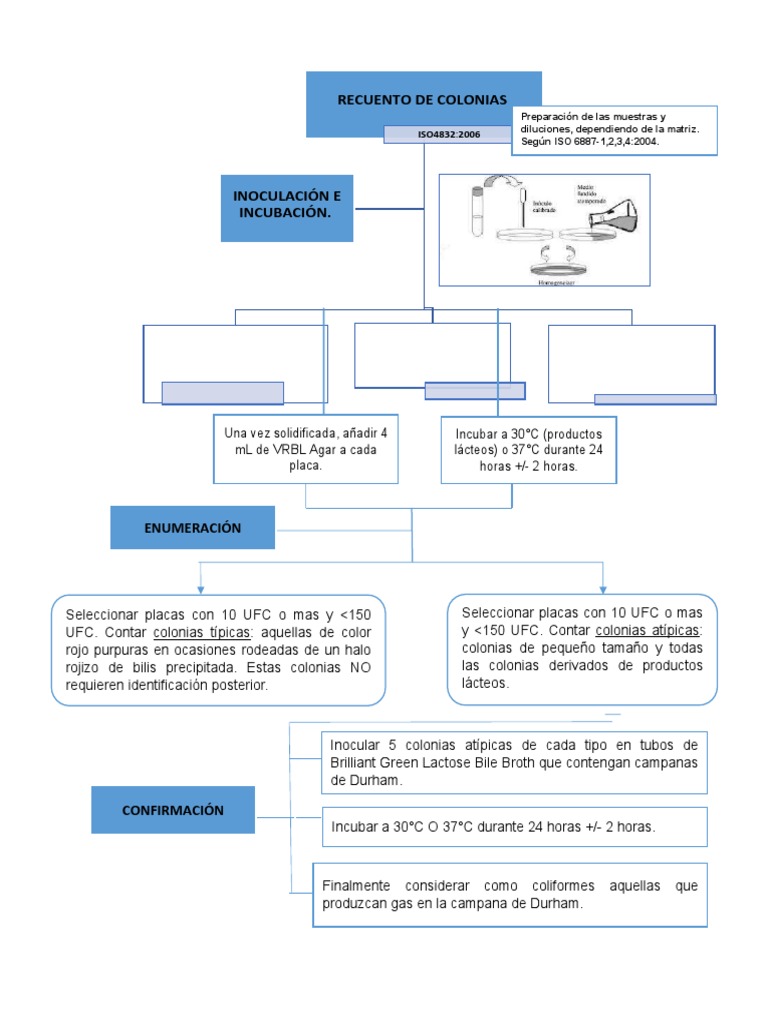Esquema Coliformes Totales | PDF