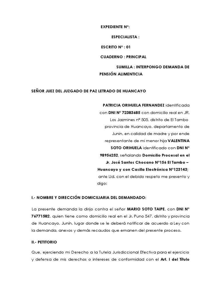 Demanda de Alimentos - Final.. | PDF | Pensión alimenticia | Demanda judicial