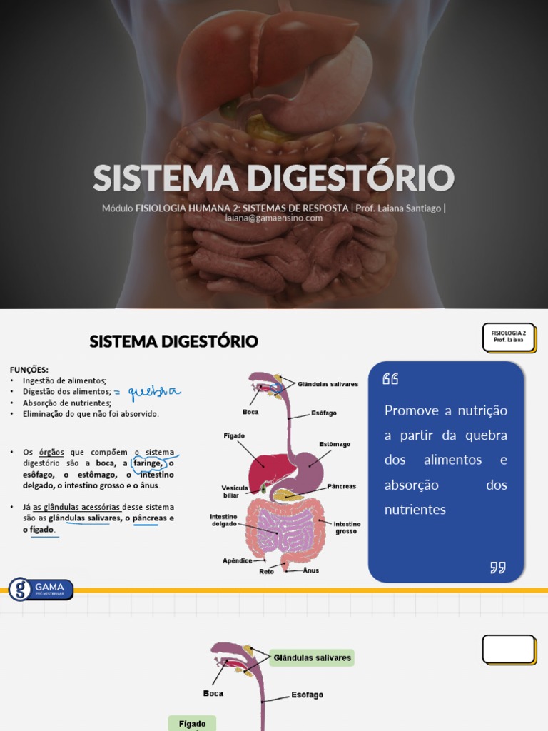 Digestão Humana: Órgãos e Funções | PDF | Sistema digestivo humano ...