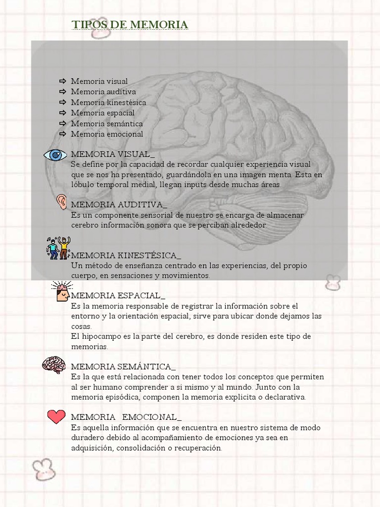 Tipos de Memoria Clase de Pedagogia | PDF