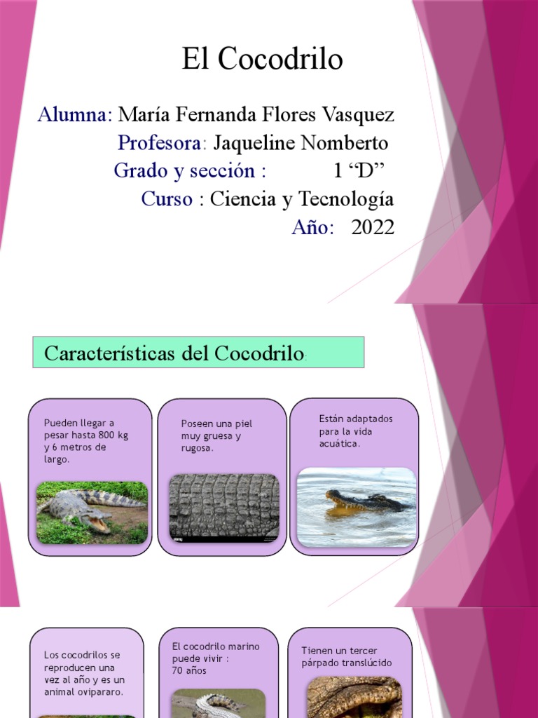 El Cocodrilo | PDF | Red alimentaria | Ciencias de la Tierra