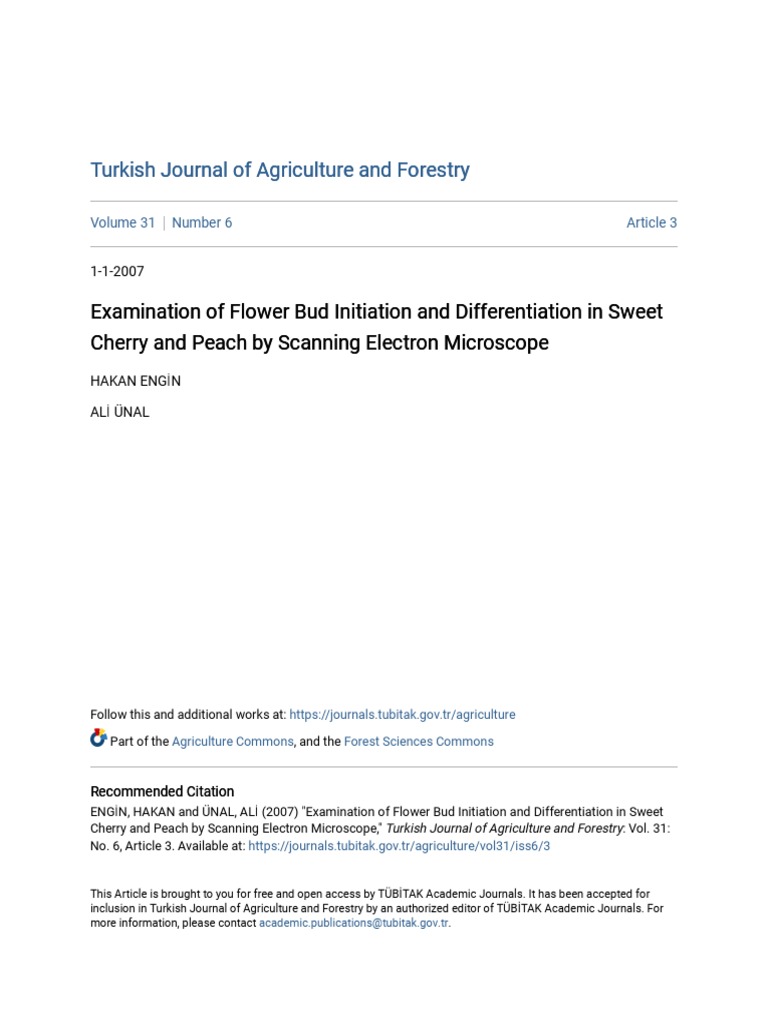 Examination of Flower Bud Initiation and Differentiation in Sweet | PDF ...
