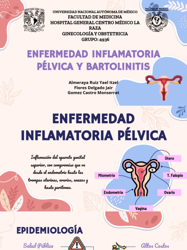Enfermedad Inflamatoria Pélvica y Bartolinitis | PDF | Vagina ...