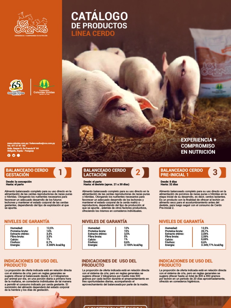 Catalogo Linea Cerdos Correcto | PDF | Alimentos | Cerdo
