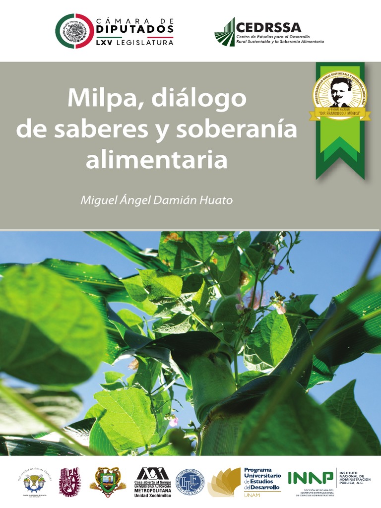 Milpa, Diálogo de Saberes y Soberanía Alimentaria | PDF | Alimentos | Agricultura