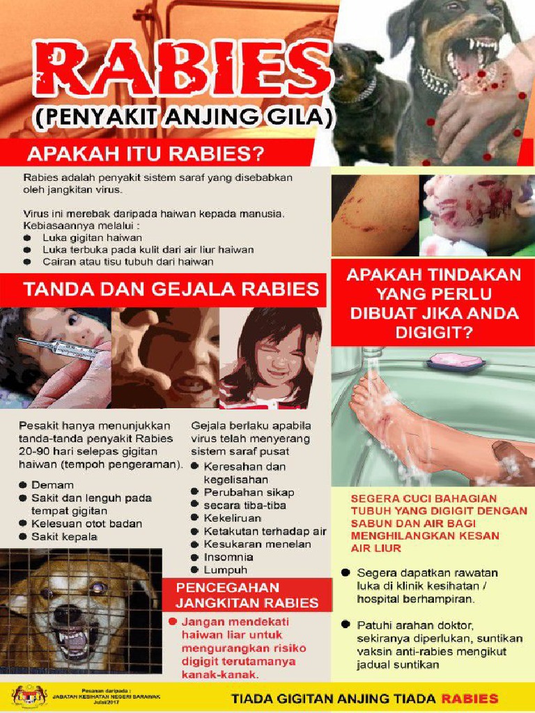 Rabies JKN Sarawak | PDF