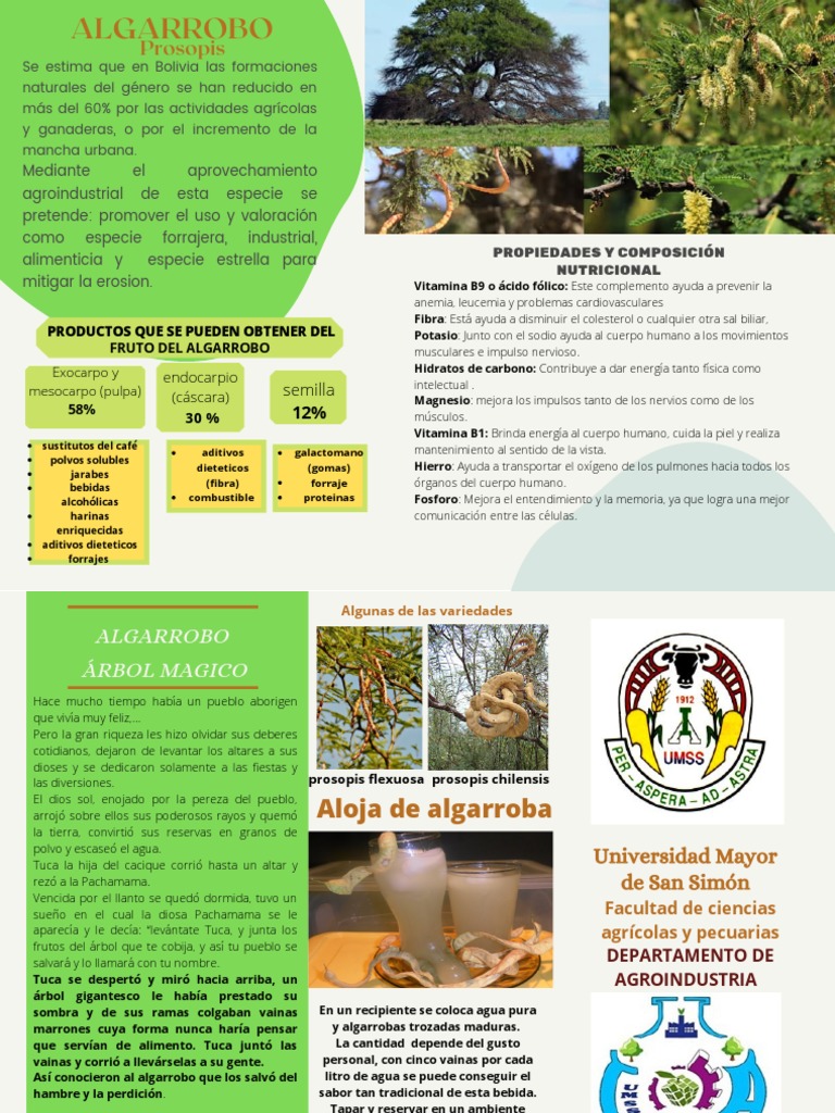 ALGARROBO | PDF | Cuerpo humano | Músculo