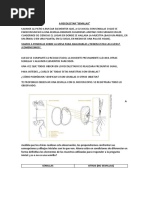 Test de Sally y Anne | PDF