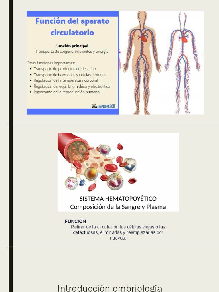 httpslearn-us-east-1-prod-fleet02-xythos.content.blackboardcdn.com5fdd41fee8c15114184711X ...