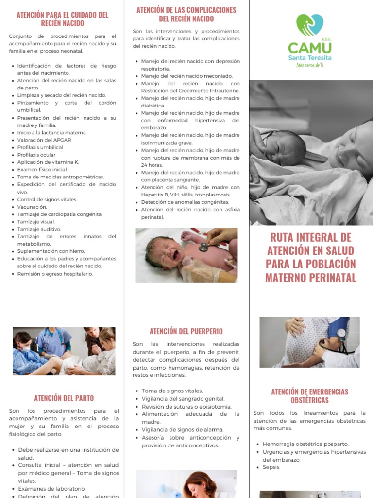 Ruta Integral de Atención en Salud para La Población Materno Perinatal 2 | PDF | Parto | El embarazo