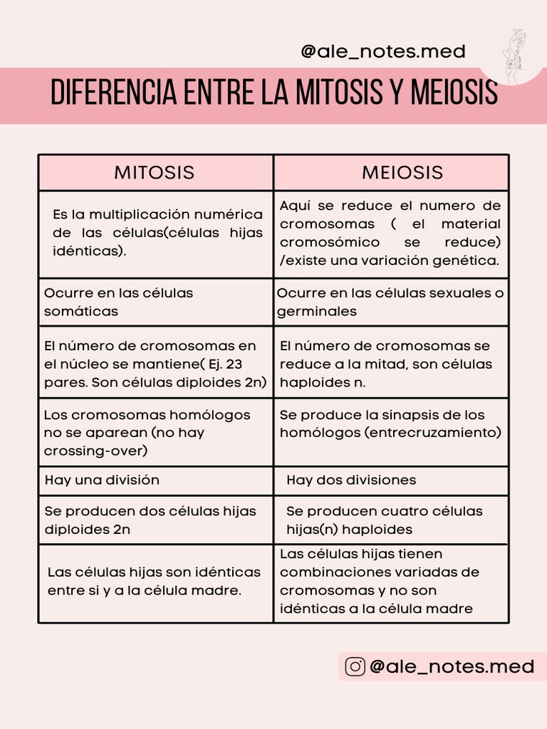 Diferencia Entre Mitosis y Meiosis | PDF