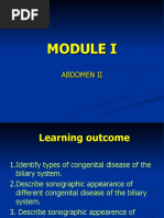 HBT Ultrasound Meaning - Google Search | PDF | Gallbladder | Liver