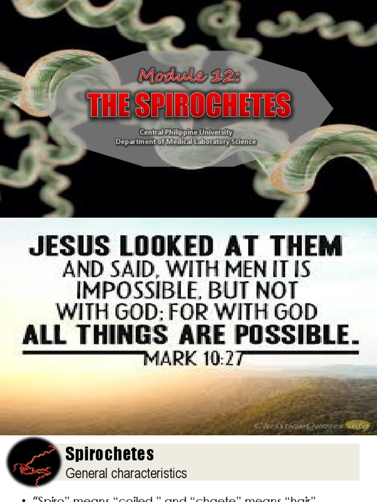 Spirochetes: Characteristics and Diagnosis | PDF | Lyme Disease | Medicine