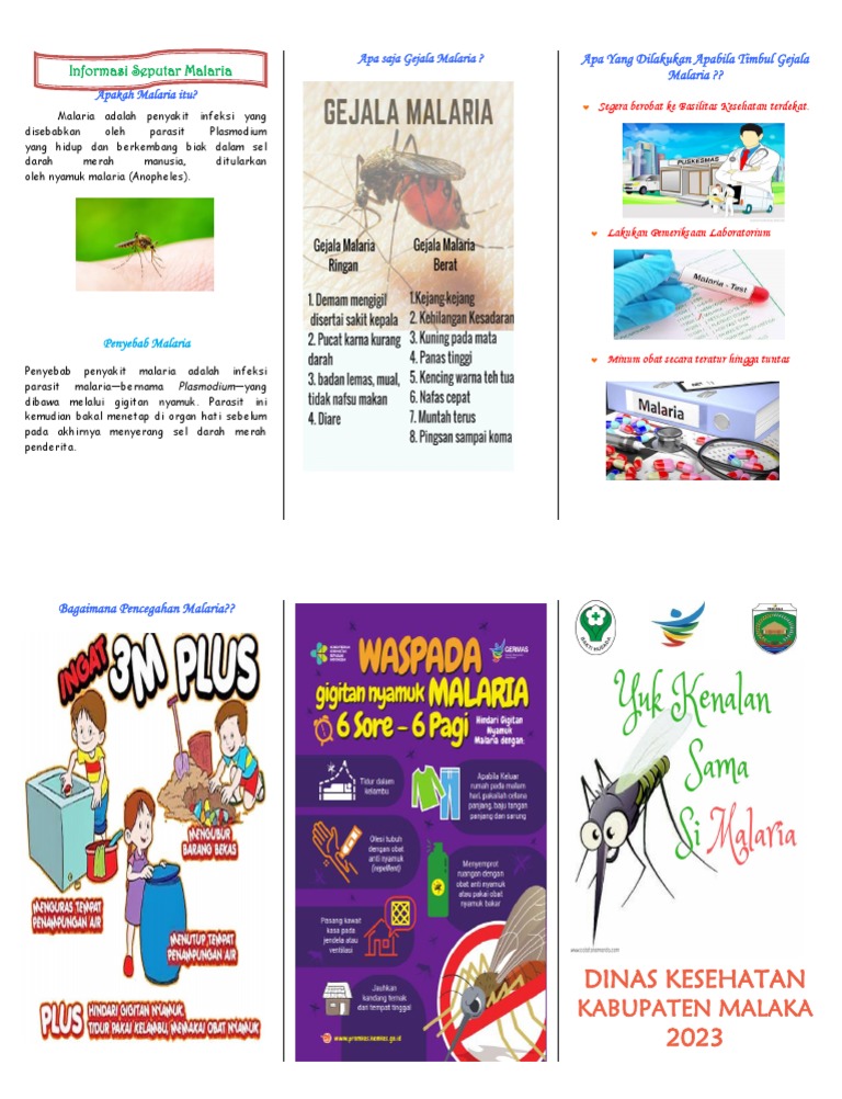 Leaflet Malaria | PDF | Sains & Matematika