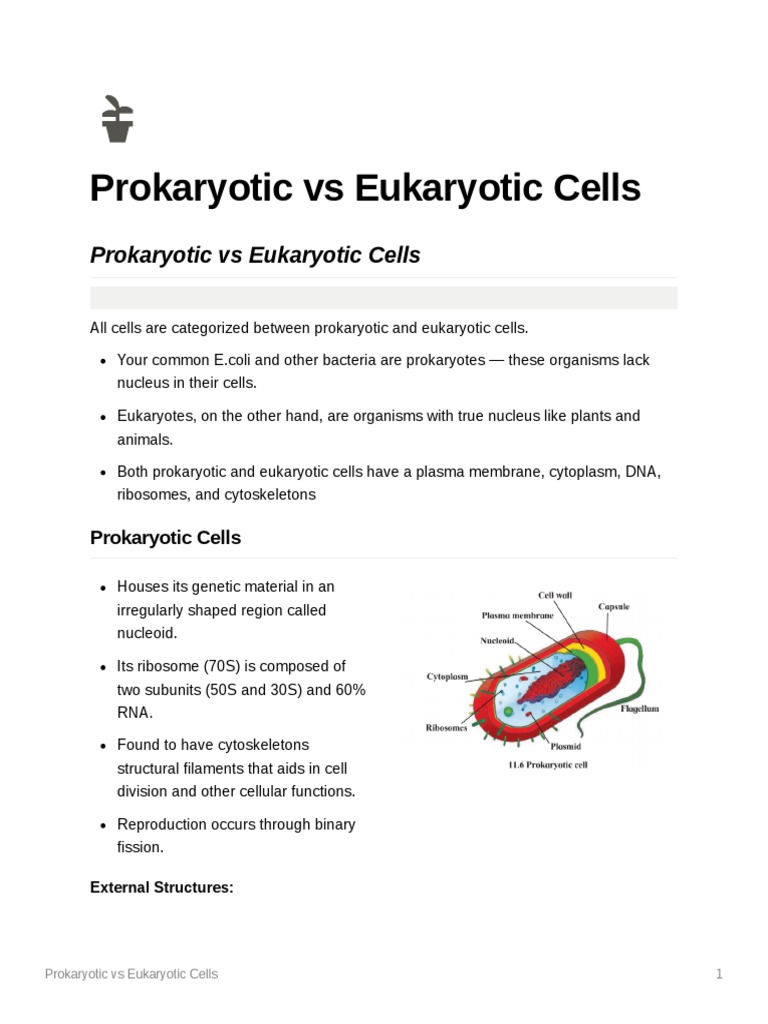 Prokaryotic Vs Eukaryotic Cells Notes | PDF | Cell (Biology) | Eukaryotes