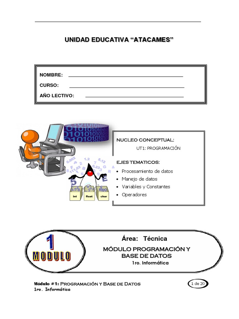 Modulo de Programación y Base de Datos | PDF | Tipo de datos | Poco