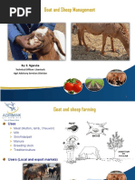 Dairy Cattle Feed Formulation Course | PDF | Dairy Cattle | Cattle