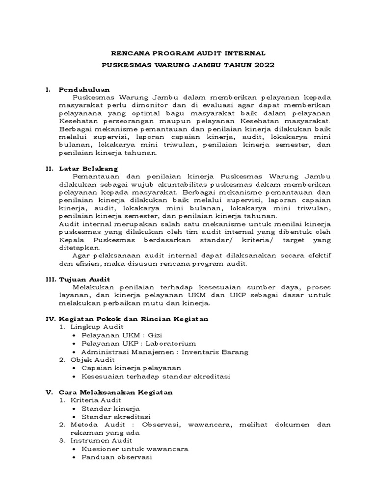 Rencana Program Audit Internal | PDF