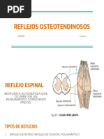 PALESTESIA Definicion y Exploración | PDF | Mano | Sistema ...