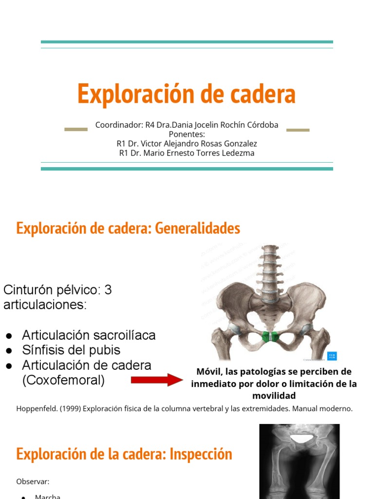 EXPLORACIÓN DE CADERA (5) | PDF | Rodilla | Anatomía humana