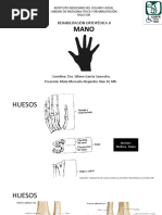 Evaluacion Ecografica de Muñeca y Mano | PDF | Mano | Síndrome del ...