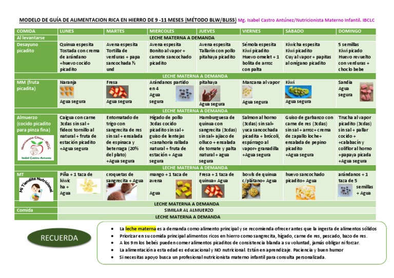 Guía De Alimentacion De 9 A 11 Meses Método Blw Bliss Pdf Cocina