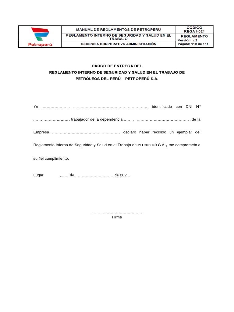 Item 16 Formato Cargo de Entrega RISST v2 | PDF