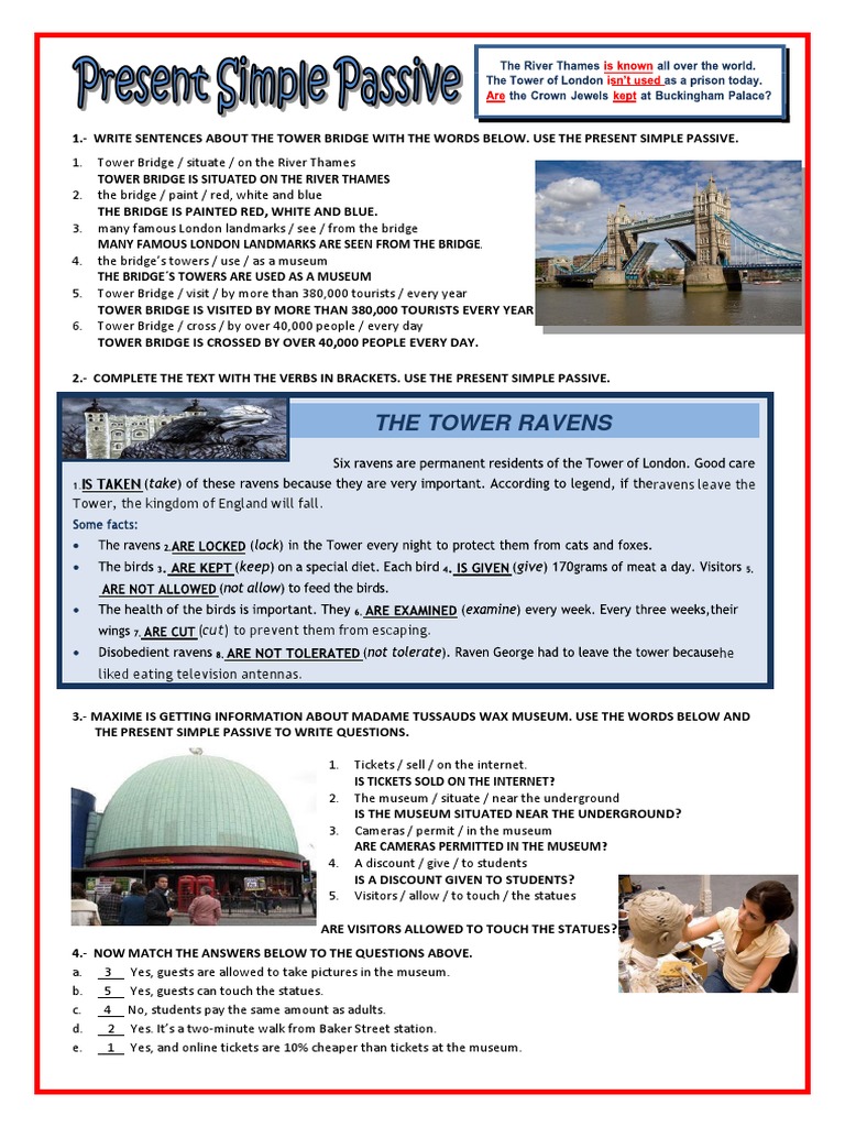 Present Simple Passive | PDF | Languages | Foreign Language Studies