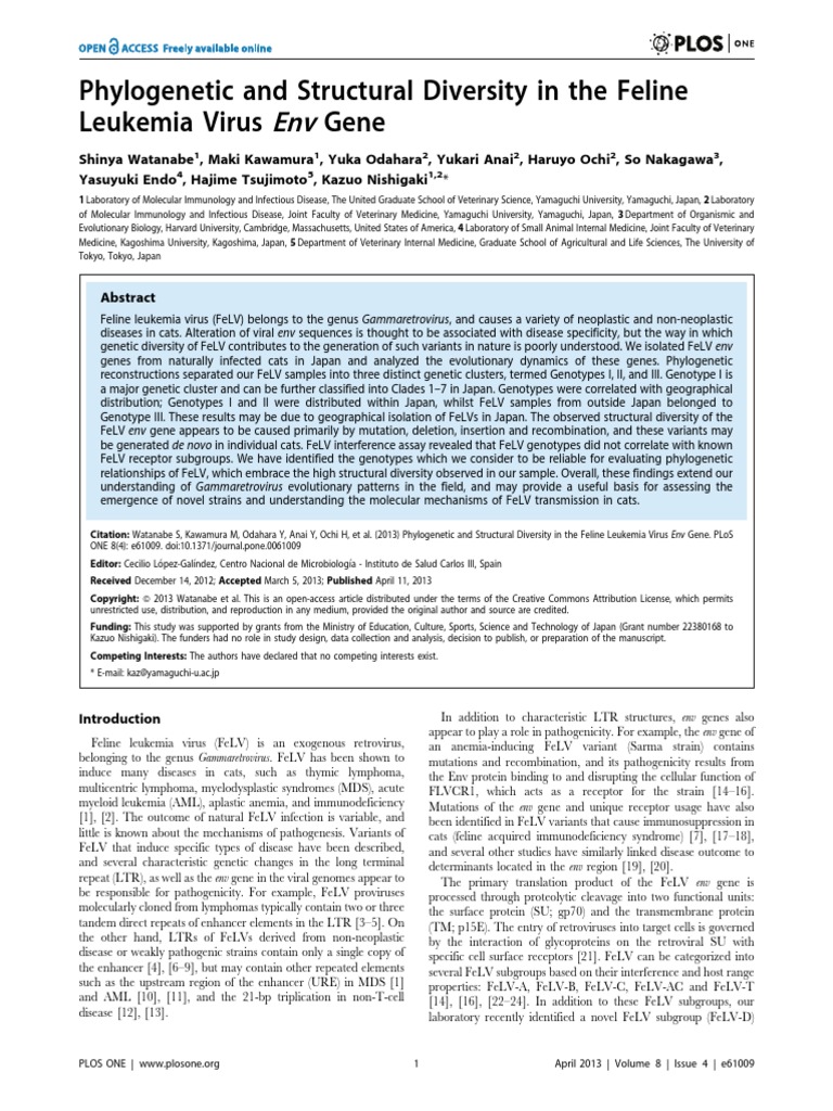 Phylogenetic and Structural Diversity in The Feline | PDF | Polymerase ...