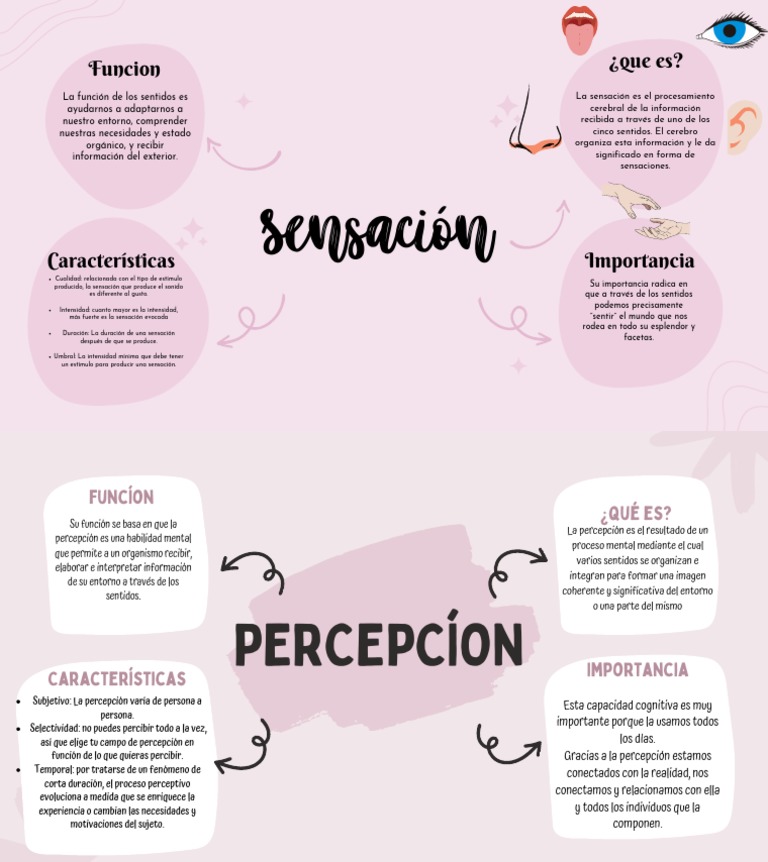 Sensopercepción | PDF | Percepción | Cognición
