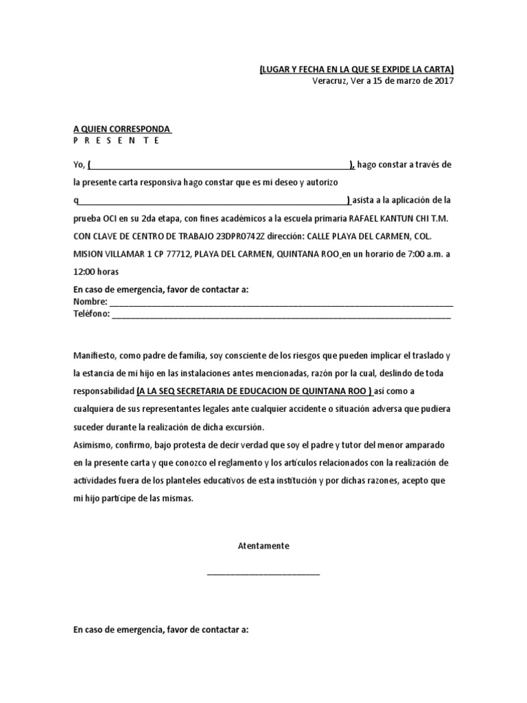 Formato Carta Responsiva Escolar | PDF