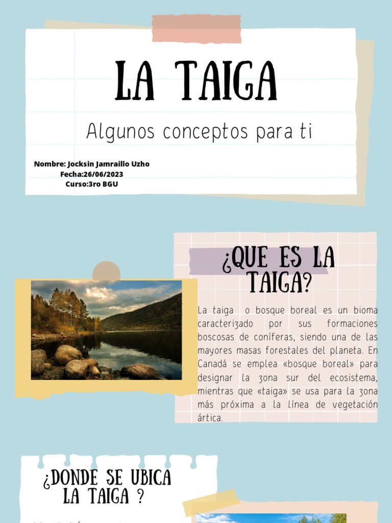 Ubicación y ecosistema de la taiga | PDF | Viajes y turismo | Ciencia y ...
