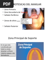 Dimensión Vertical en Odontología | PDF | Odontología | Boca