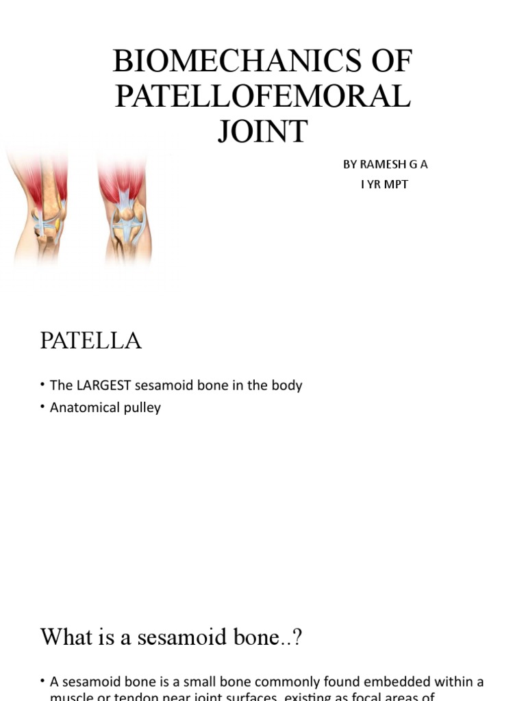 Patellofemoral Joint Biomechanics Overview | PDF | Knee ...