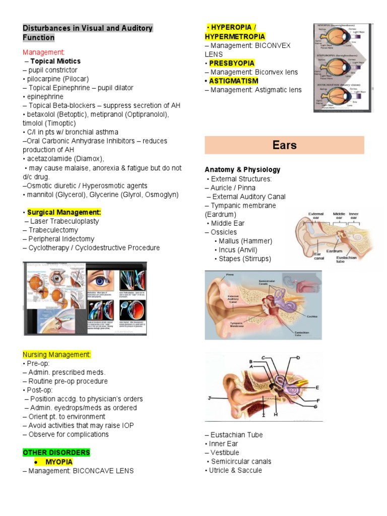 Disturbances in Visual and Auditory Function Slide 43 67 | PDF | Ear ...