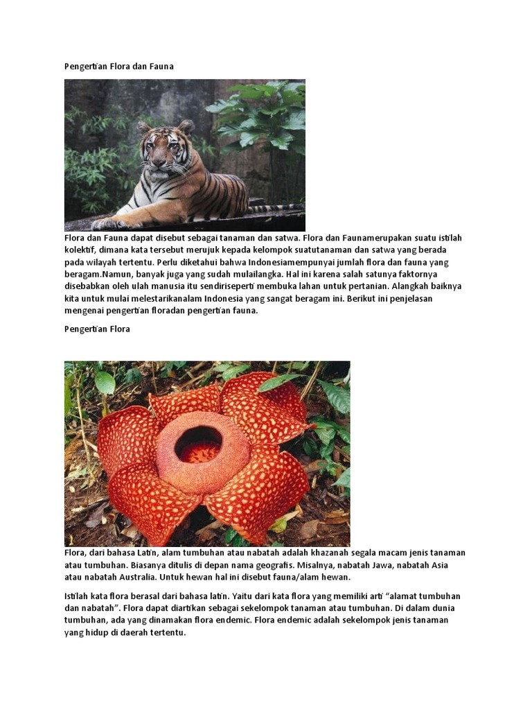 Geografi | PDF | Seni & Disiplin Bahasa | Sains & Matematika