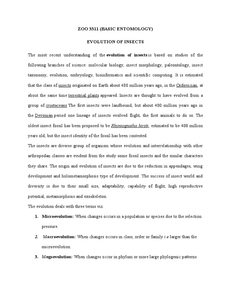 Evolution Of Insects Download Free Pdf Insects Evolution