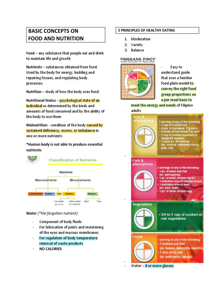 Reviewer - BASIC CONCEPTS ON FOOD AND NUTRITION - Highlighted | PDF ...