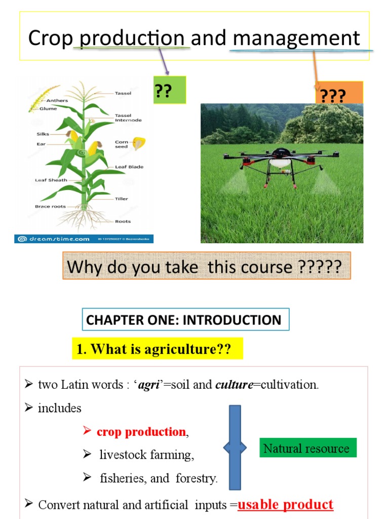 Lecture 1 Crop Production 2021 | PDF | Agriculture | Food Industry