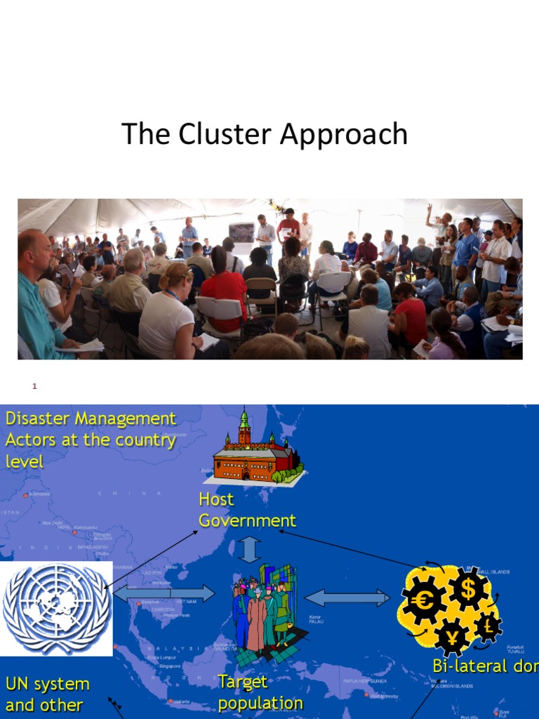Chapter5 Cluster Approach Pdf Internally Displaced Person Humanitarian Aid