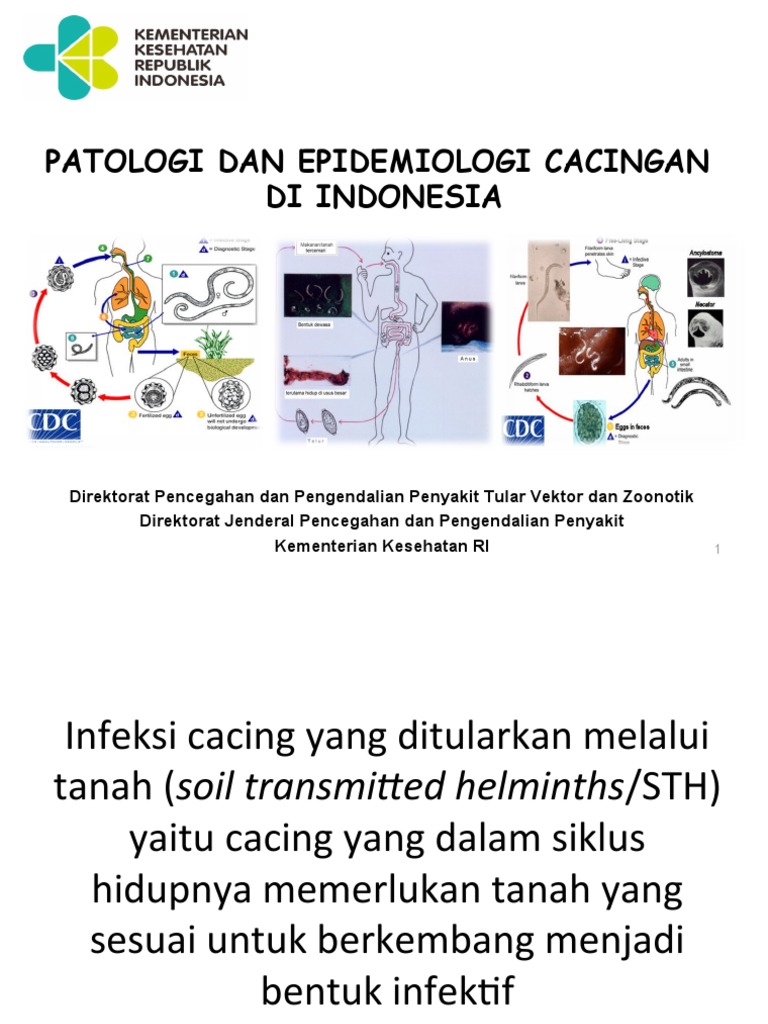 Epidemiologi Dan Patologi Cacingan - Final | PDF