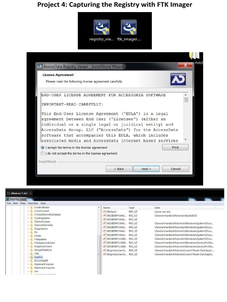 Lab11 Project 4 Capehturing The Registry With FTK Imager | PDF