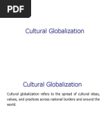 Examples of Cultural Homogenization | PDF