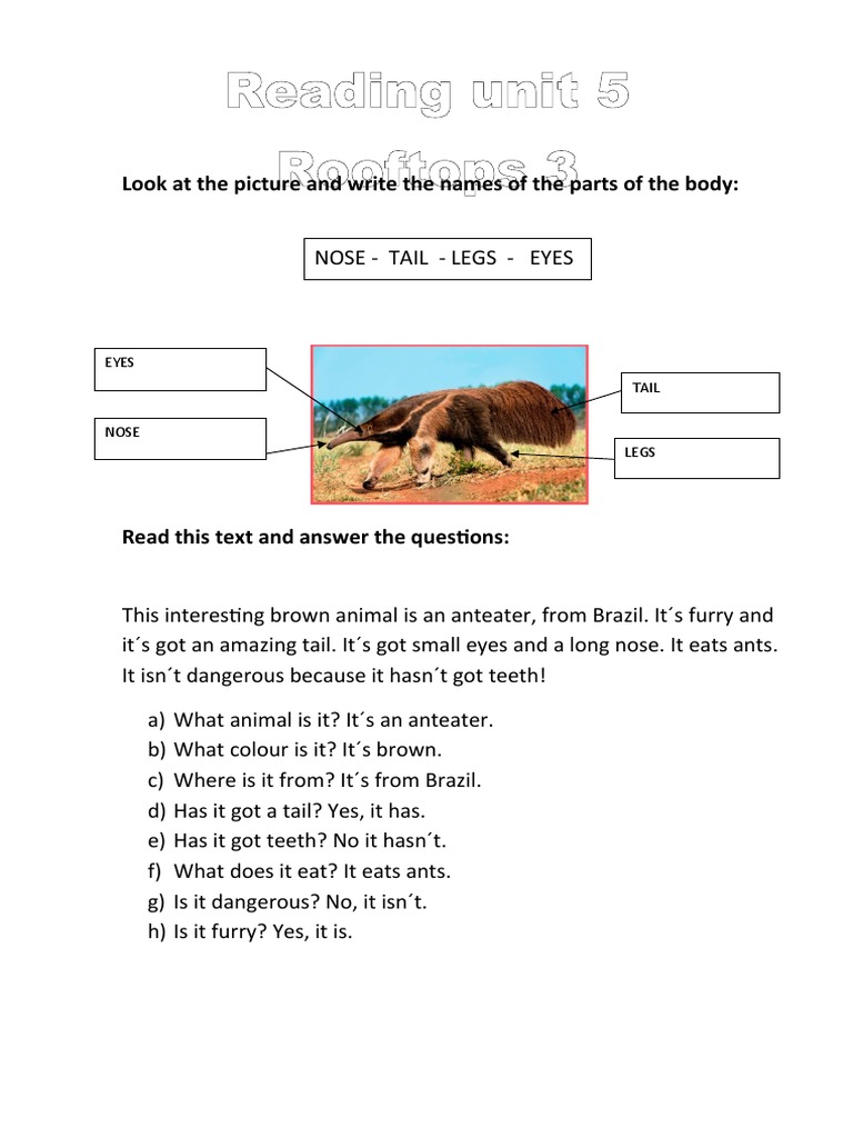 Reading Unit 5 Rooftops 3 | PDF