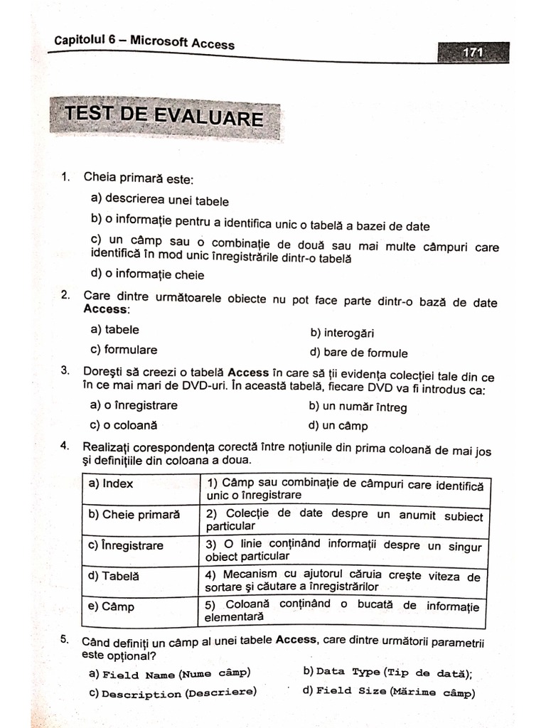 Test Grila ACCESS | PDF