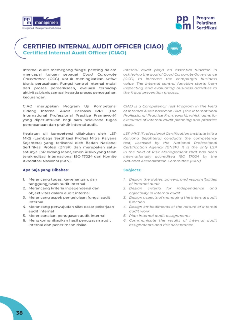 Certified Internal Audit Officer (Ciao) | Download Free PDF | Internal ...